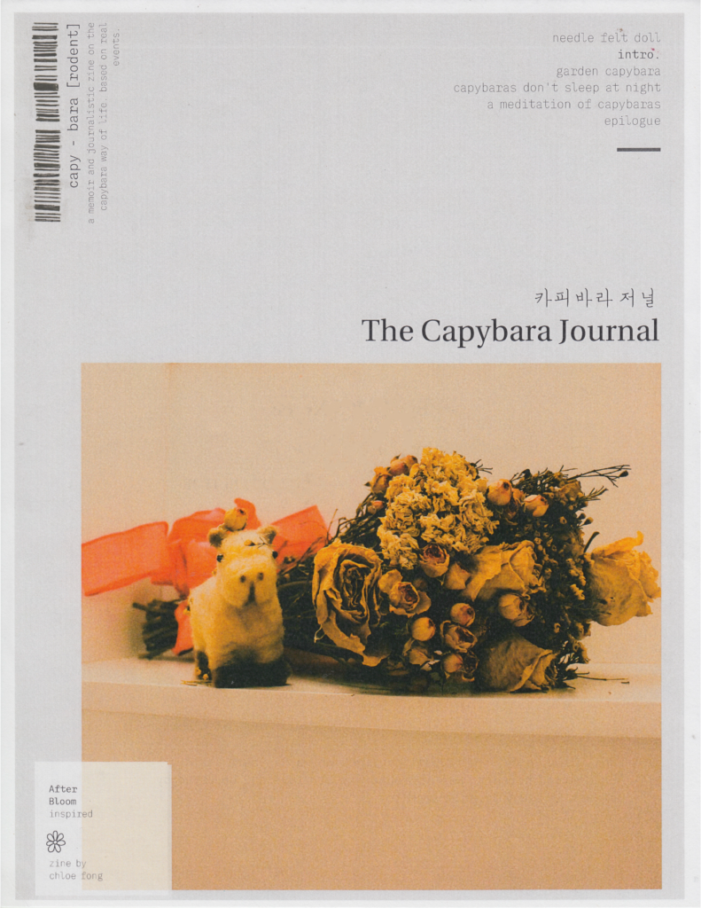 Chloe Fong – The Capybara Journal – Sunset Media Wave