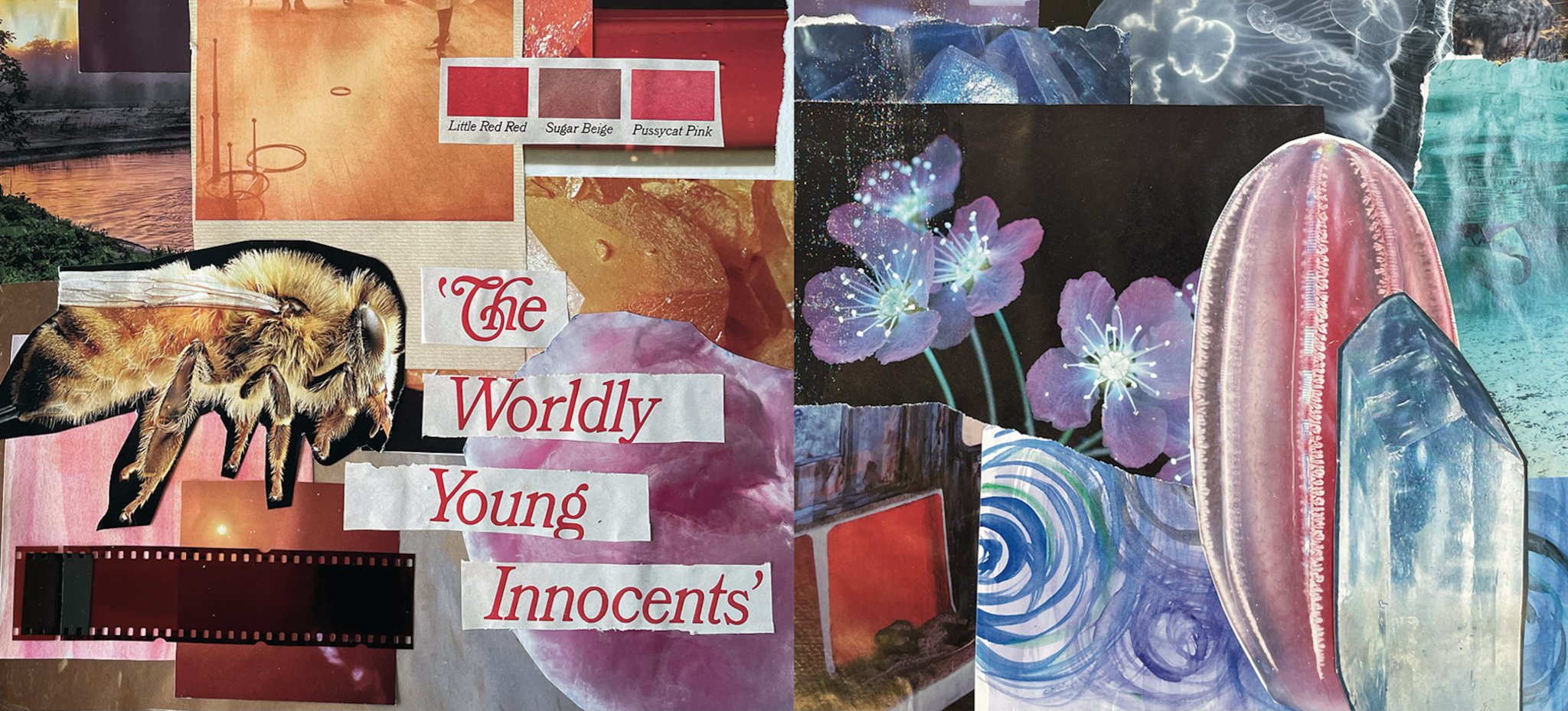 Serena Miller – The Effervescent Light and Never Ending Darkness ...